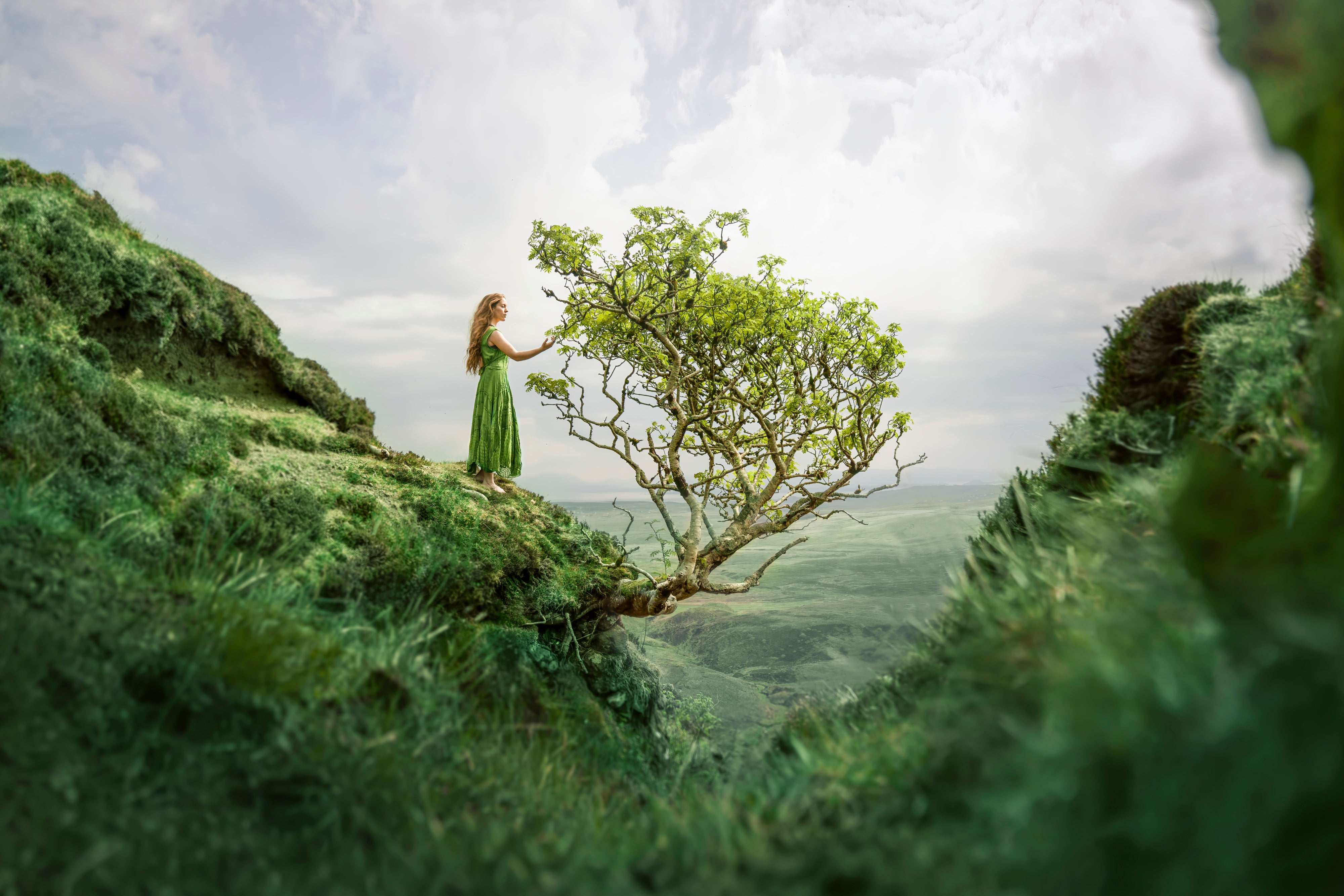 Limited Edition Prints – Elizabeth Gadd Photography