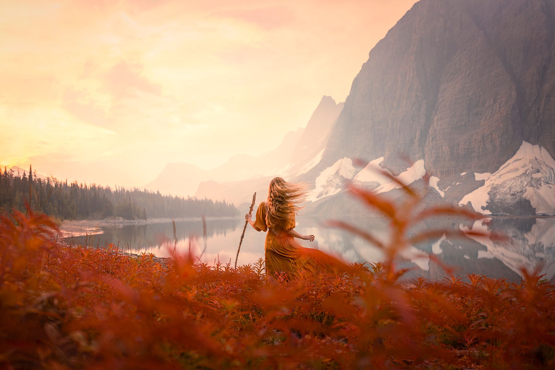 The Whims of Autumn – Elizabeth Gadd Photography